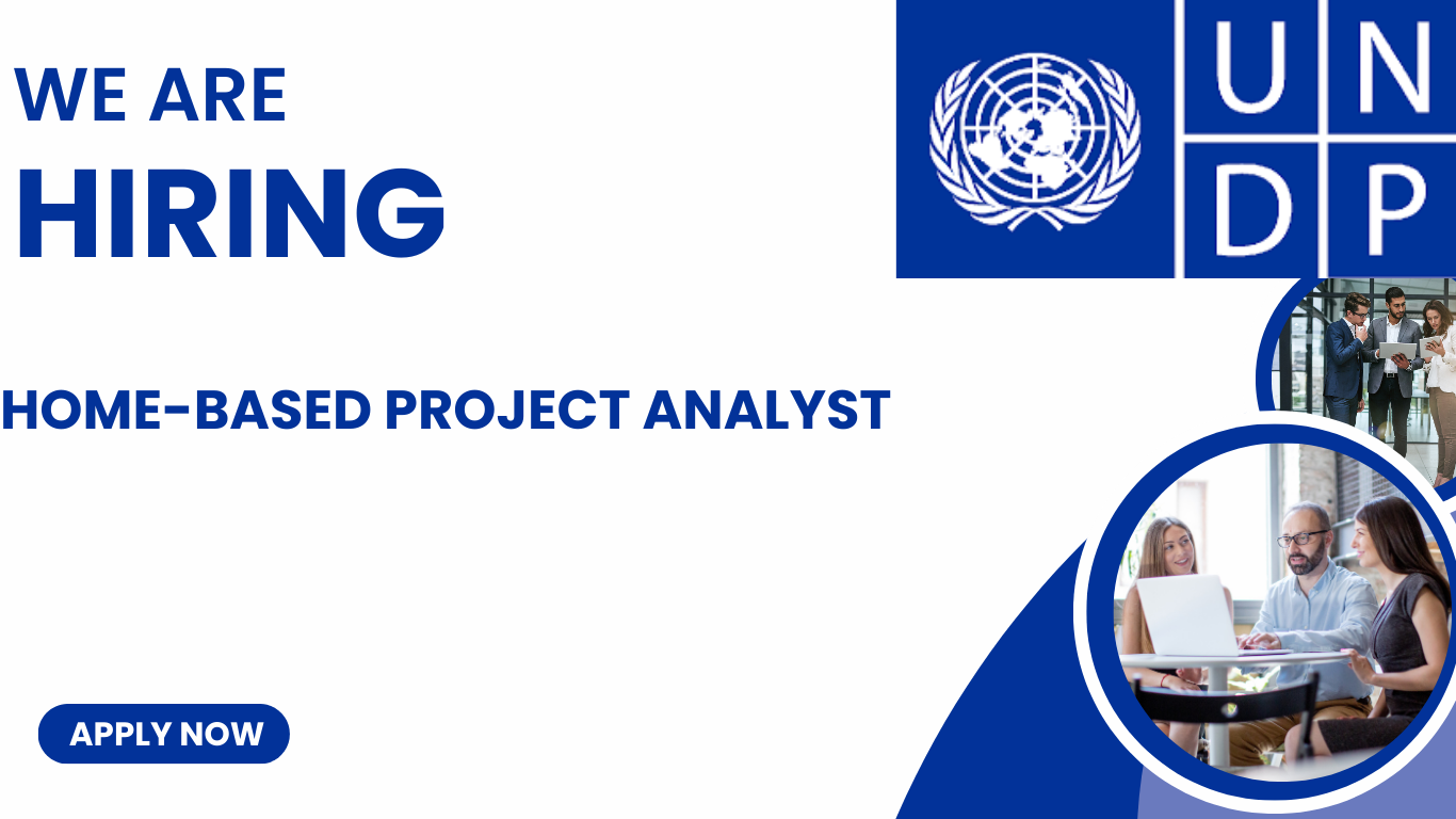 Empower Change: Join UNDP as a Home-Based Project Analyst. APPLY NOW ...