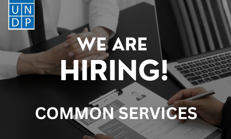 Lead Common Services at UNDP Champion Efficiency and Collaboration ...