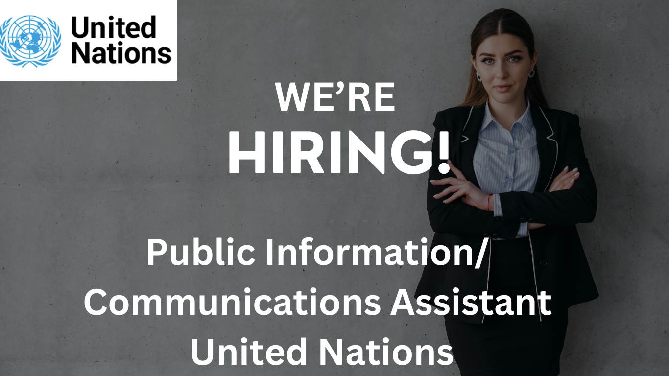 Public Information/ Communications Assistant, United Nations, 2024 ...