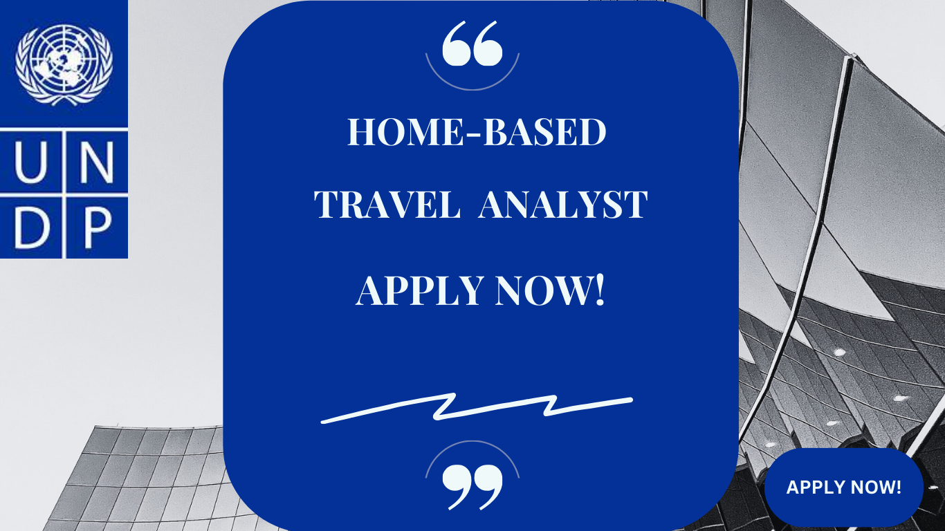 Join UNDP as a Home-based Travel Analyst! APPLY NOW! 2024 - Vacancy Bridge