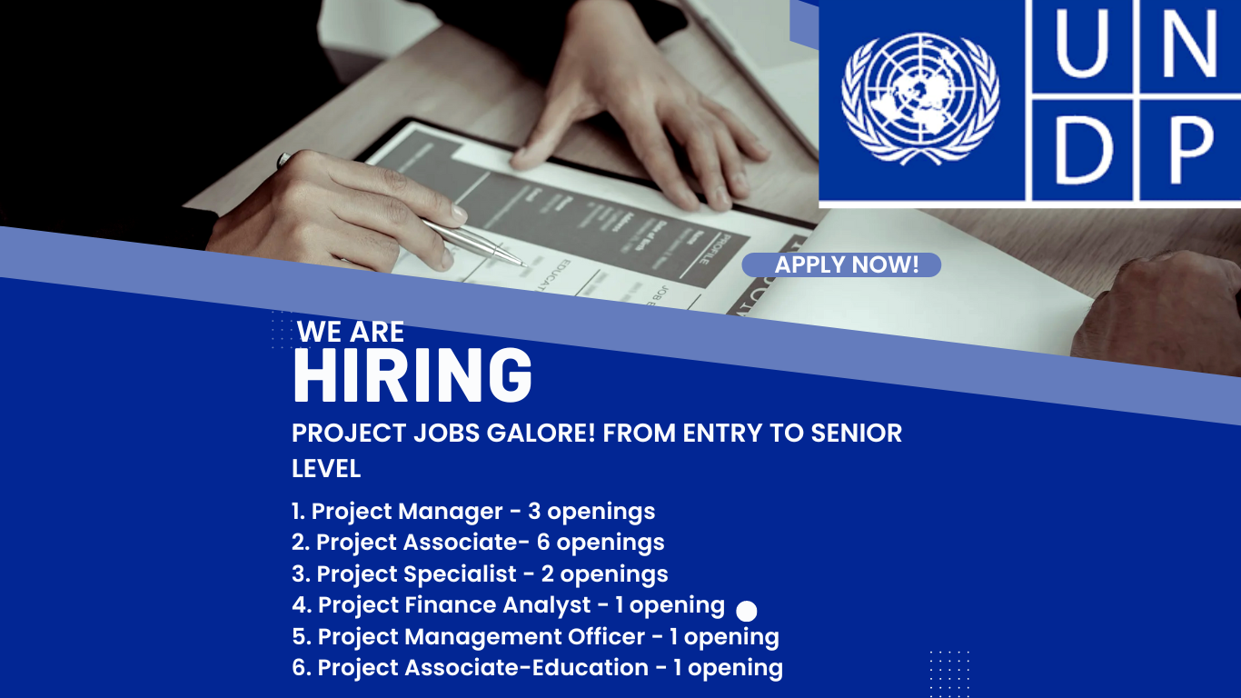 Project Openings at UNDP. From Entry To Senior Level Opportunities ...