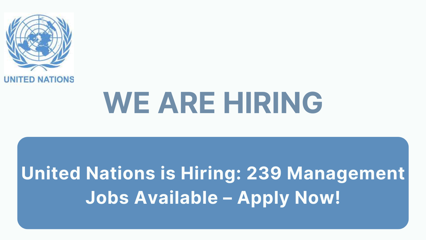 United Nations is Hiring: 239 Management Jobs Available – Apply Now! - Vacancy Bridge