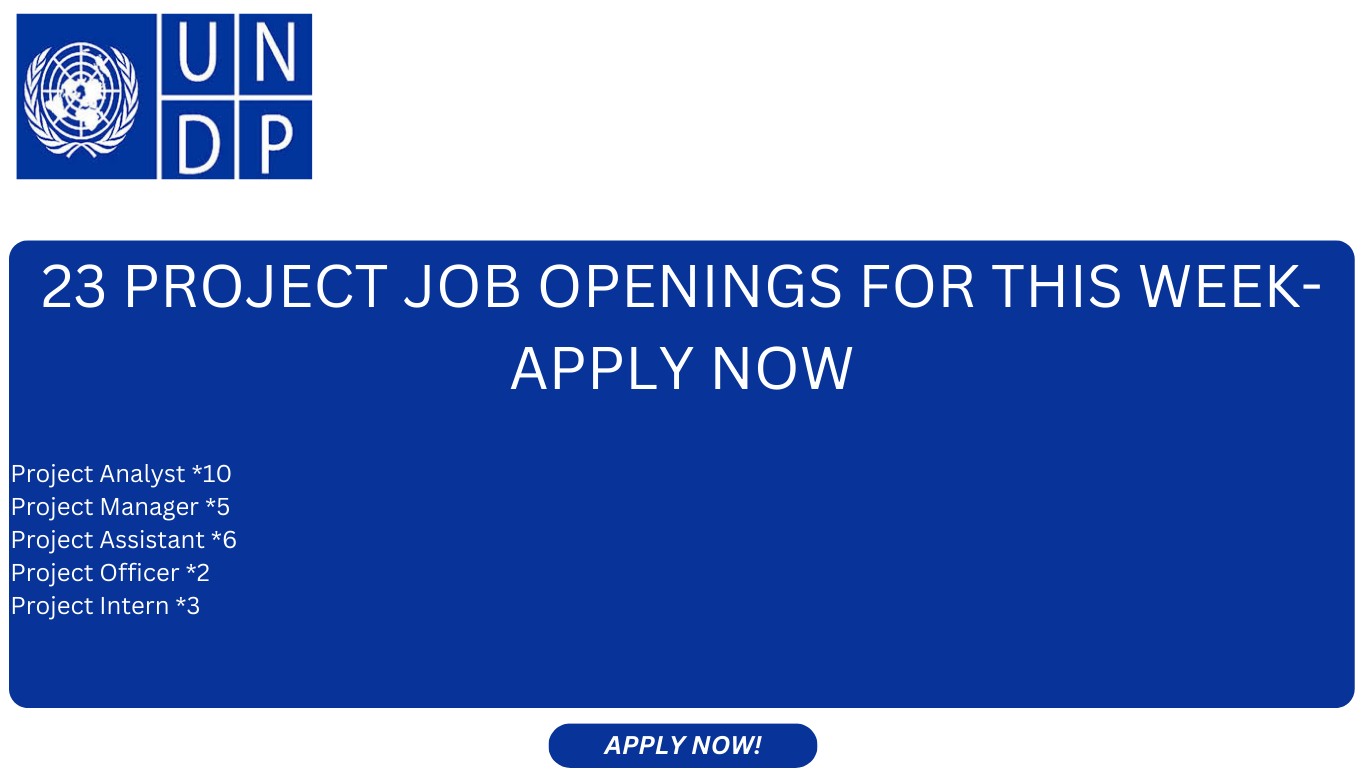 UNDP Career Opportunities: 23 Project Job Openings Across Multiple ...