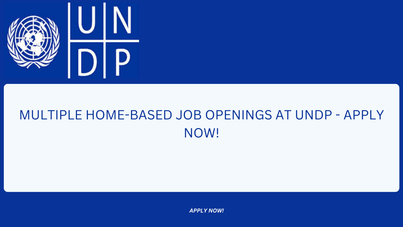 Multiple Home-Based Job Opportunities with UNDP! APPLY NOW. 2025 ...
